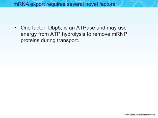 RNA transport.ppt | Genetics | Science