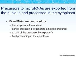 RNA transport.ppt