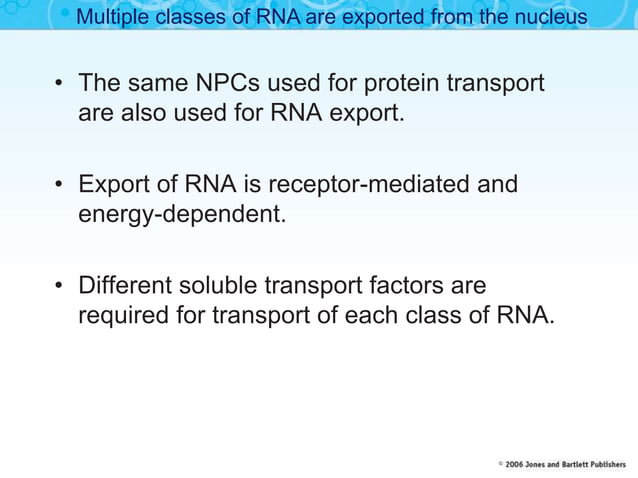 RNA transport.ppt | Genetics | Science