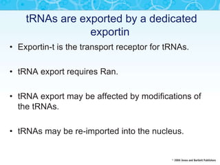 RNA transport.ppt