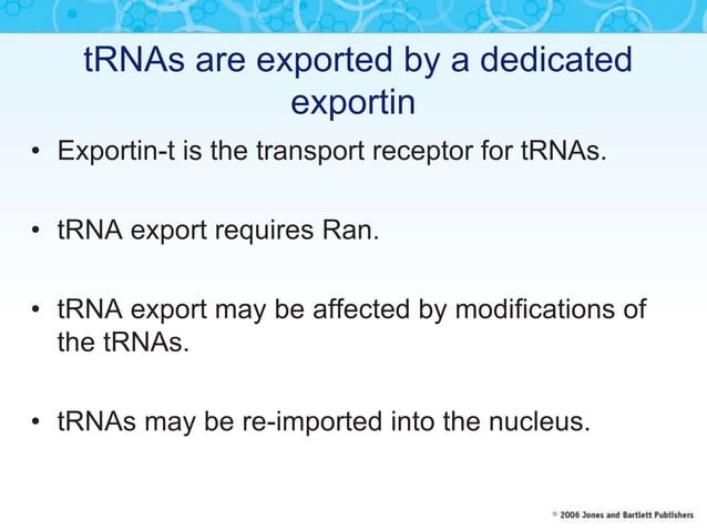 RNA transport.ppt | Genetics | Science