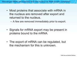 RNA transport.ppt