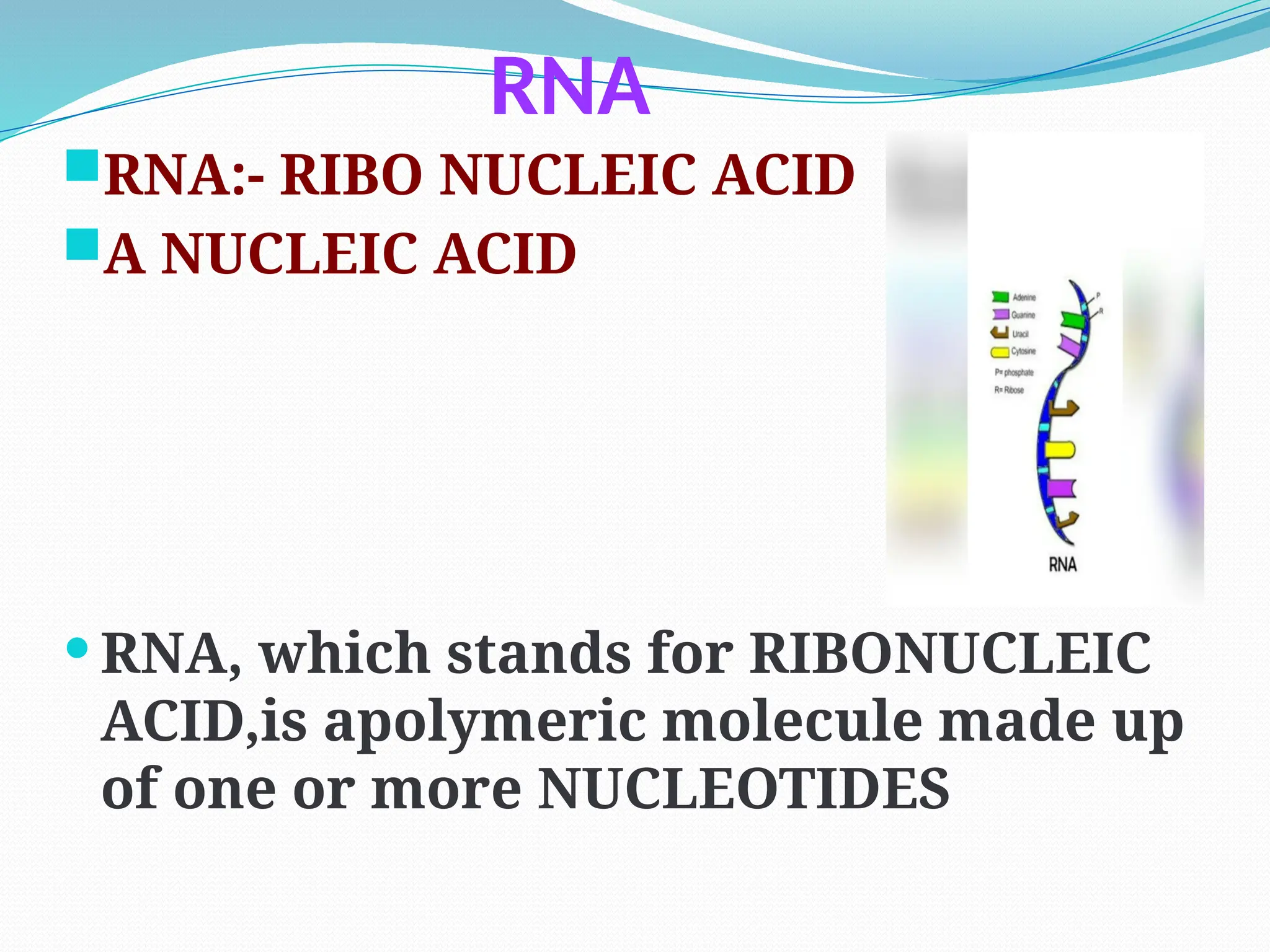 RNA types-structure and functions of mRNA,rRNA and tRNA. | PPTX
