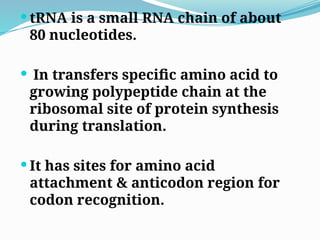 RNA types-structure and functions of mRNA,rRNA and tRNA. | PPTX