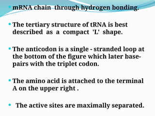 RNA types-structure and functions of mRNA,rRNA and tRNA. | PPTX