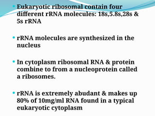 RNA types-structure and functions of mRNA,rRNA and tRNA. | PPTX