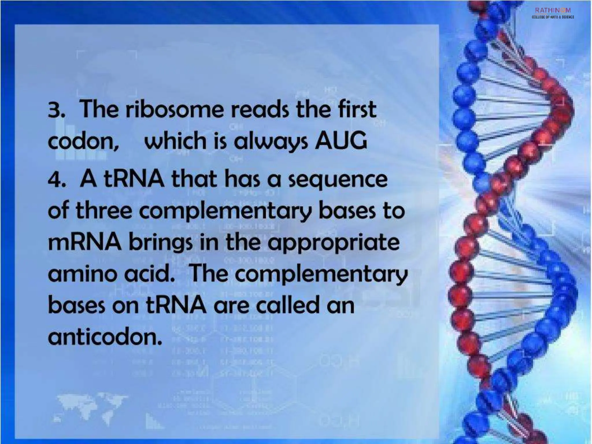 RNA Types and Functions.pptx