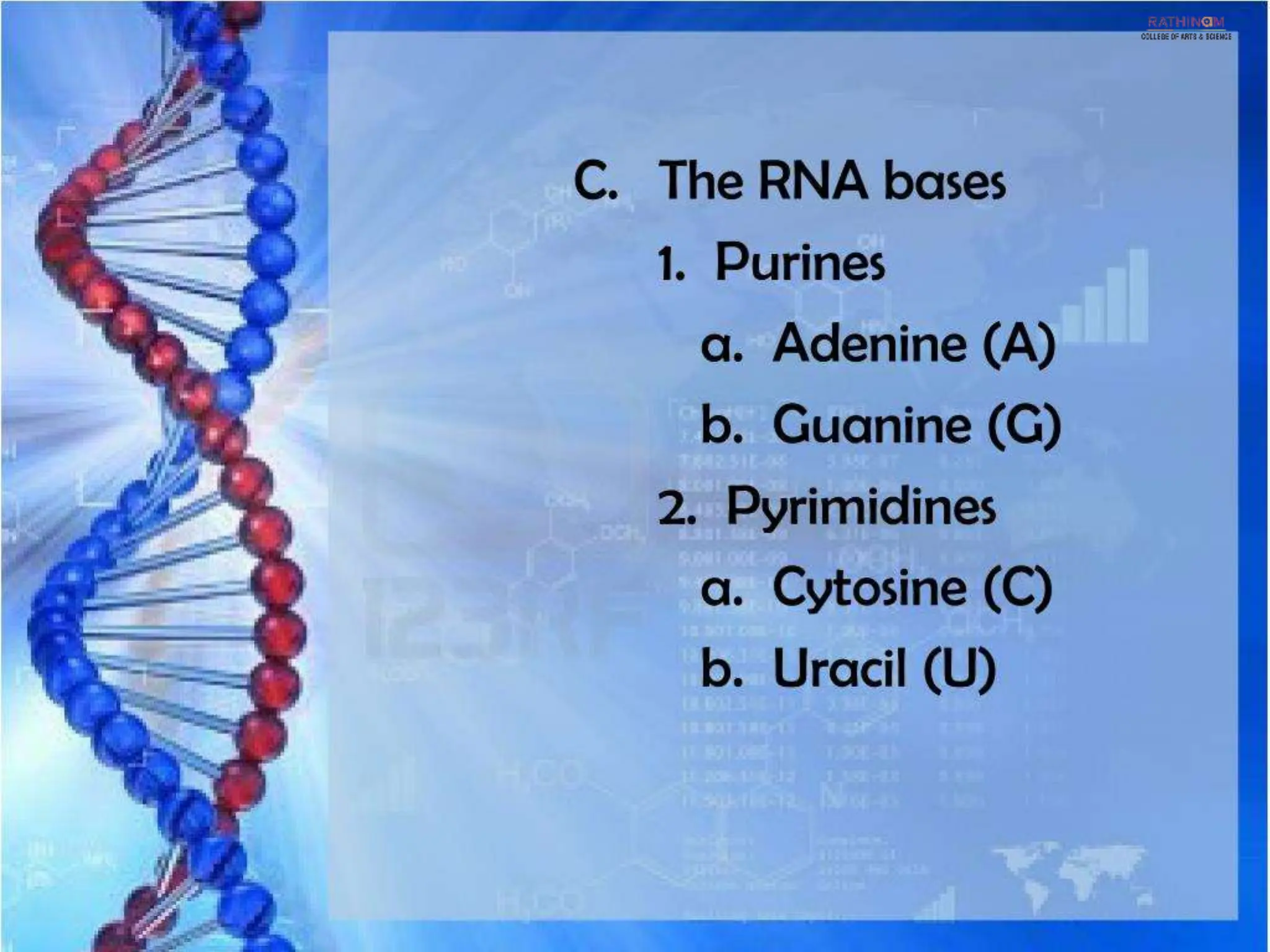 RNA Types and Functions.pptx