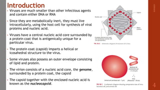 RNA VIRAL INFECTIONS .pptx