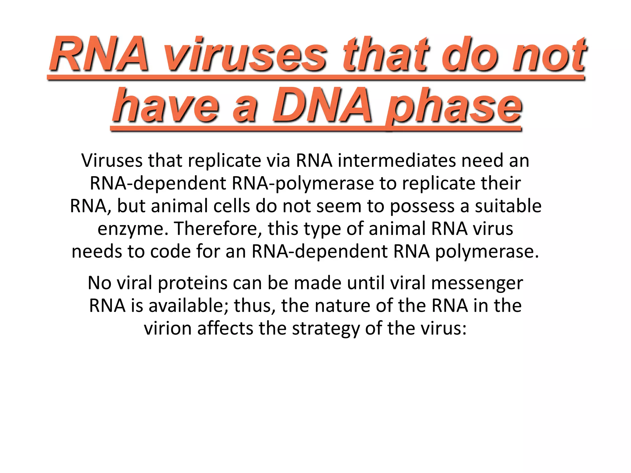 Rna virus-WPS Office-1.pptx