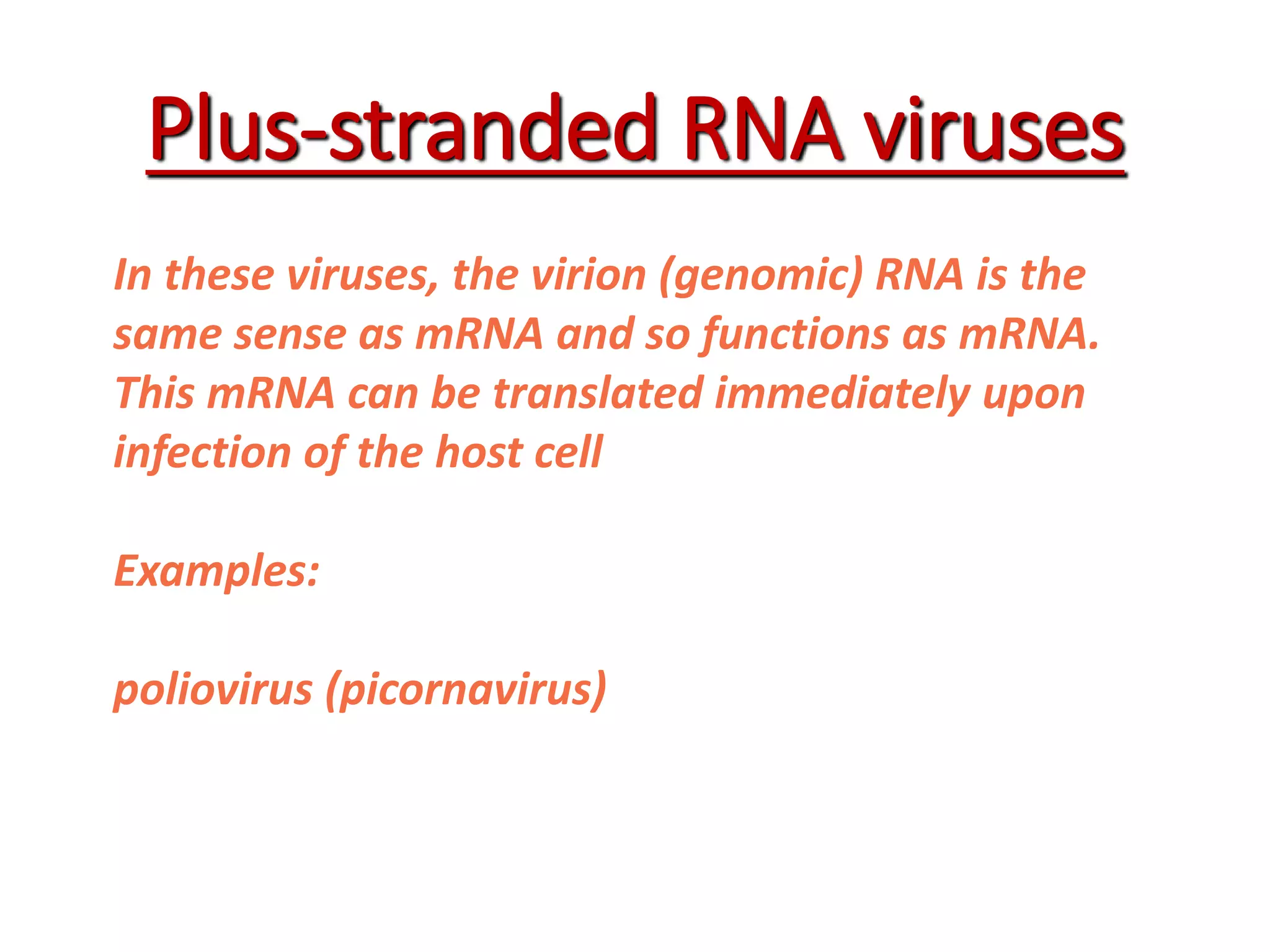 Rna virus-WPS Office-1.pptx