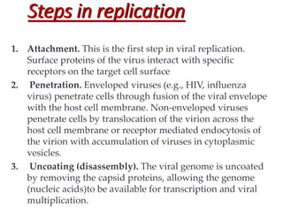 Rna virus-WPS Office-1.pptx