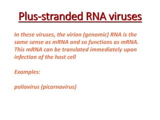 Rna virus-WPS Office-1.pptx