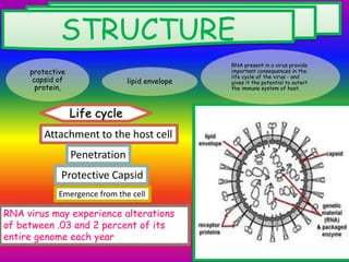Rna viruses | PPTX