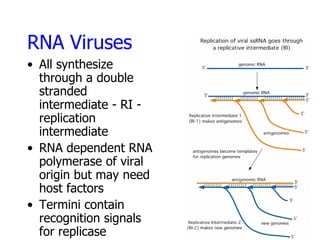 Rna viruses | PDF