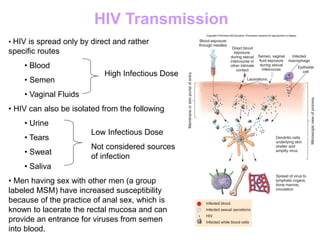 RNA virus lecture 24.pdf