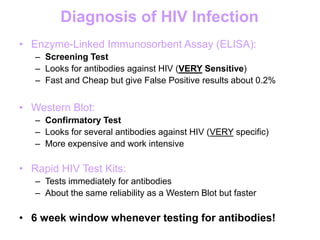 RNA virus lecture 24.pdf