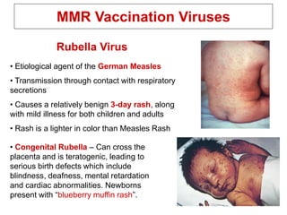 RNA virus lecture 24.pdf