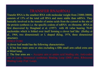 RNA - A Magic Molecule | PPT