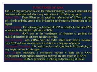 RNA - A Magic Molecule | PPT