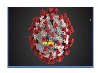 RNA - A Magic Molecule | PPT