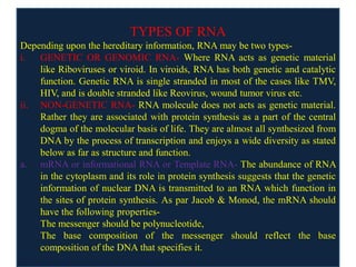 RNA - A Magic Molecule | PPT
