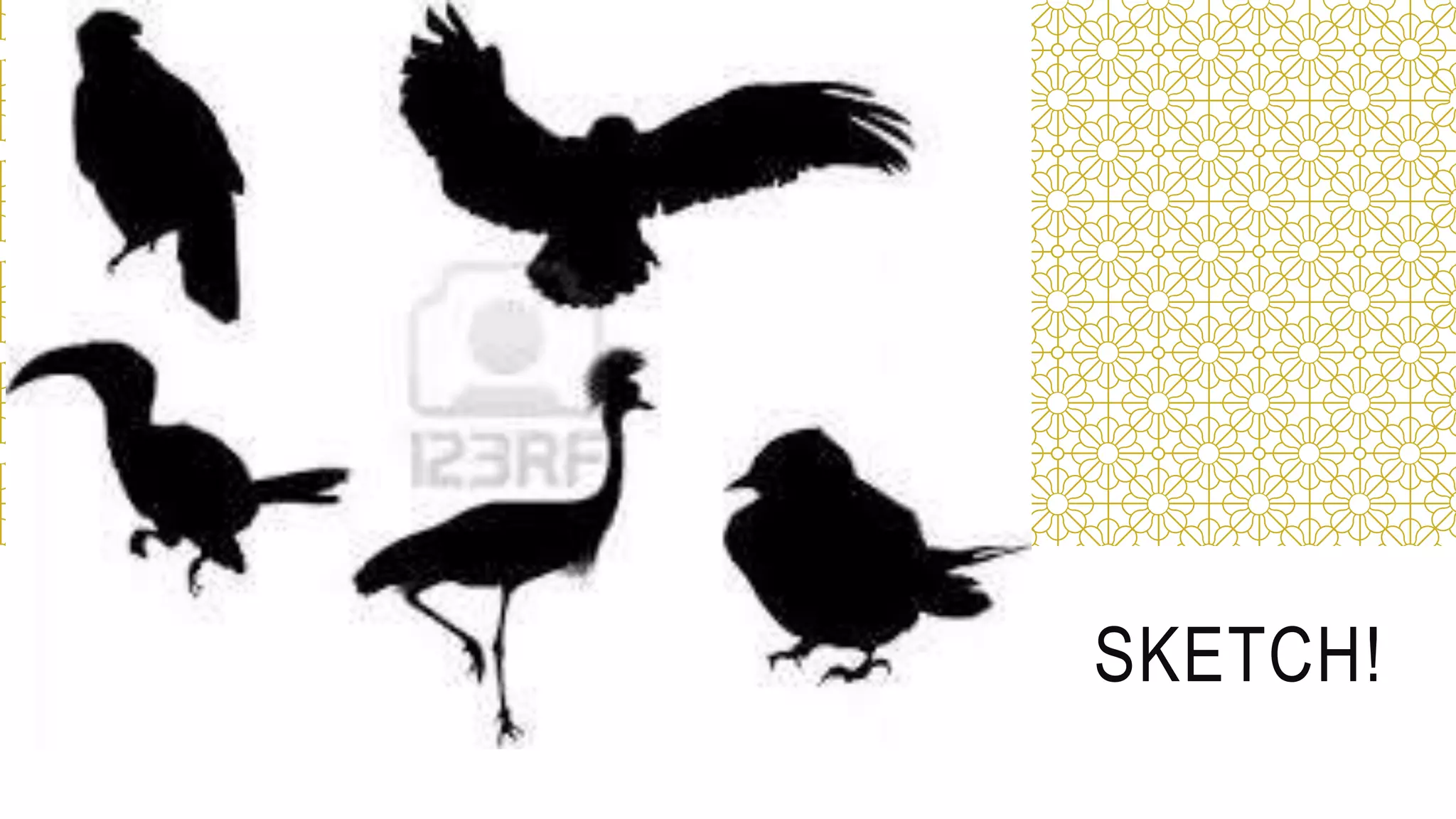 Papier mache birds | PPTX