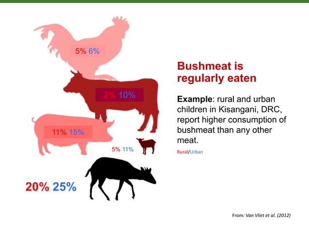 The role of bushmeat in food security and nutrition | PPT