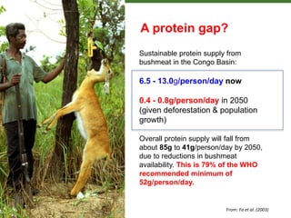 The role of bushmeat in food security and nutrition | PPT
