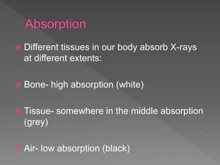 R NKUNA X_RAY INTERPRETATION 2020.pptx Physiotherapy | PPTX