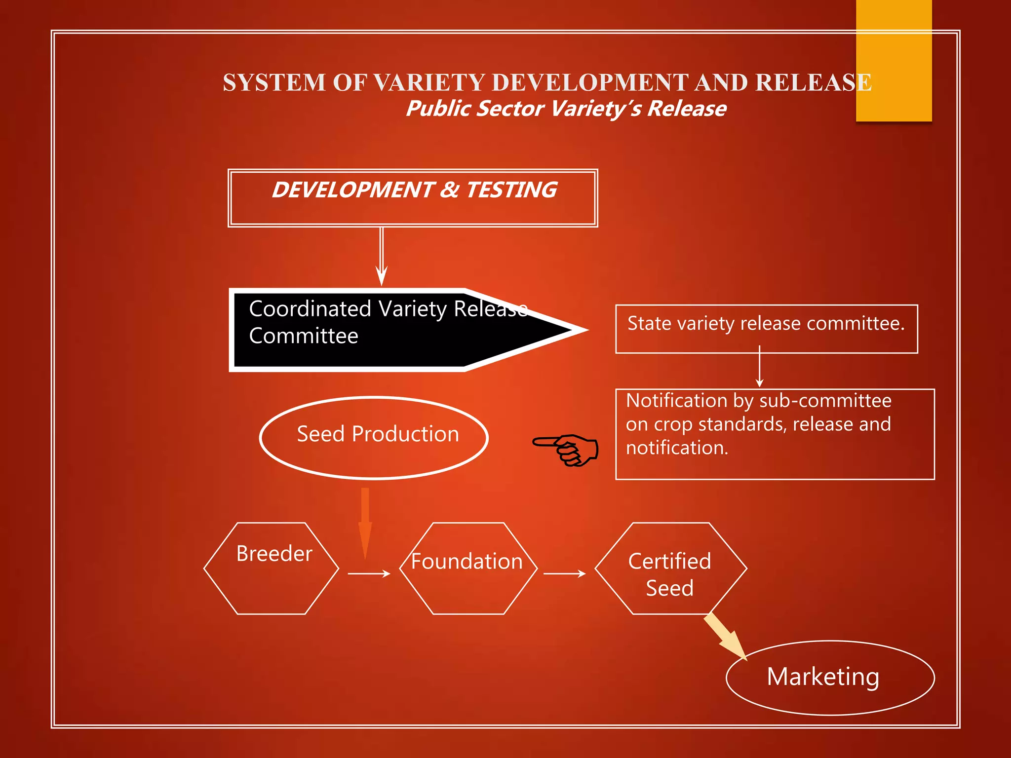 release and notification of variety in india | PPTX