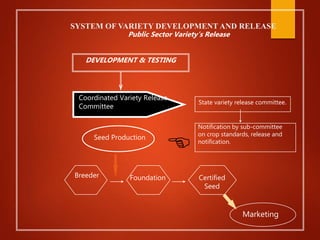 release and notification of variety in india | PPTX
