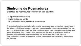 Rn postermino | PPTX
