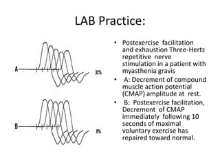 Rapid Nerve Stimulation study Part 1 | PPT