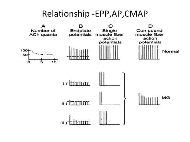 REPETITIVE NERVE STIMULATION (RNS) | PPT