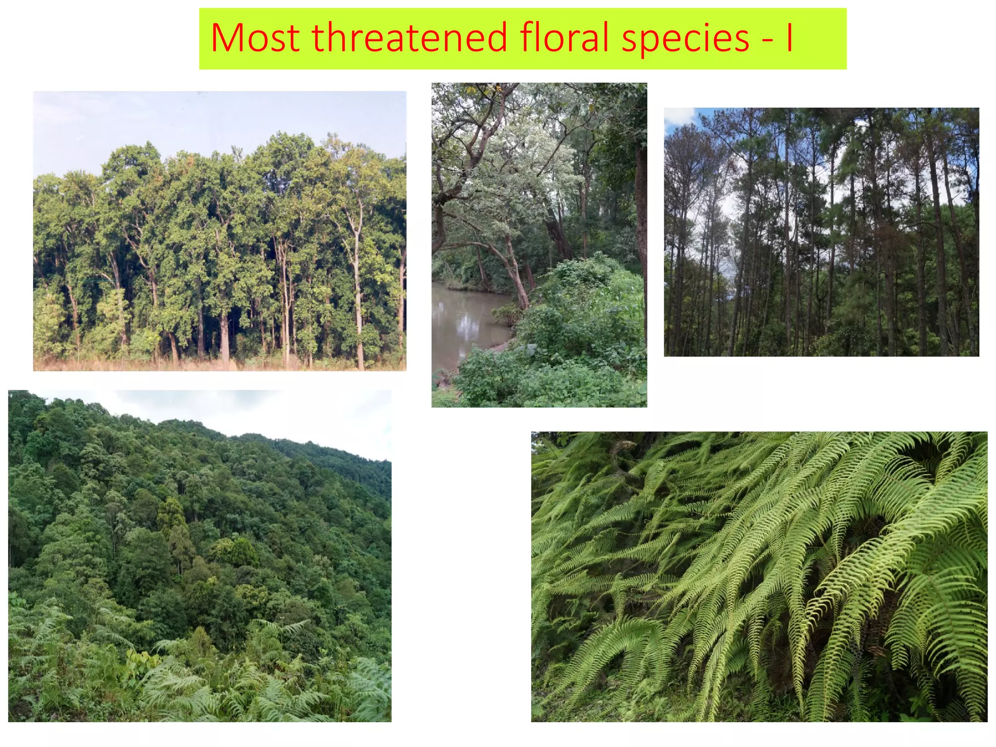 RNS Forests Types of india 21.03.2020 | Geography | Science