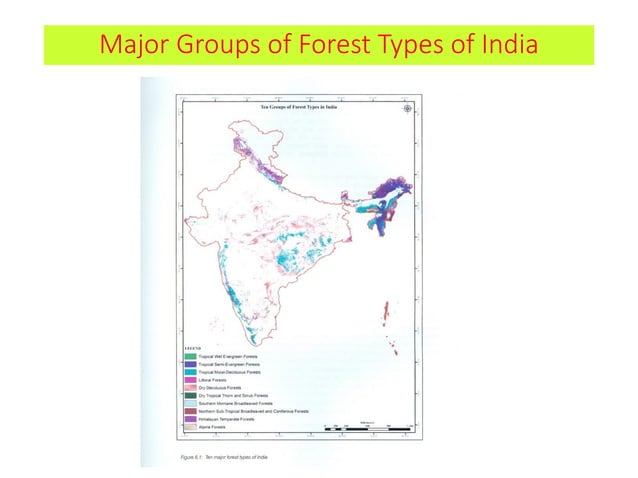 RNS Forests Types of india 21.03.2020 | Geography | Science