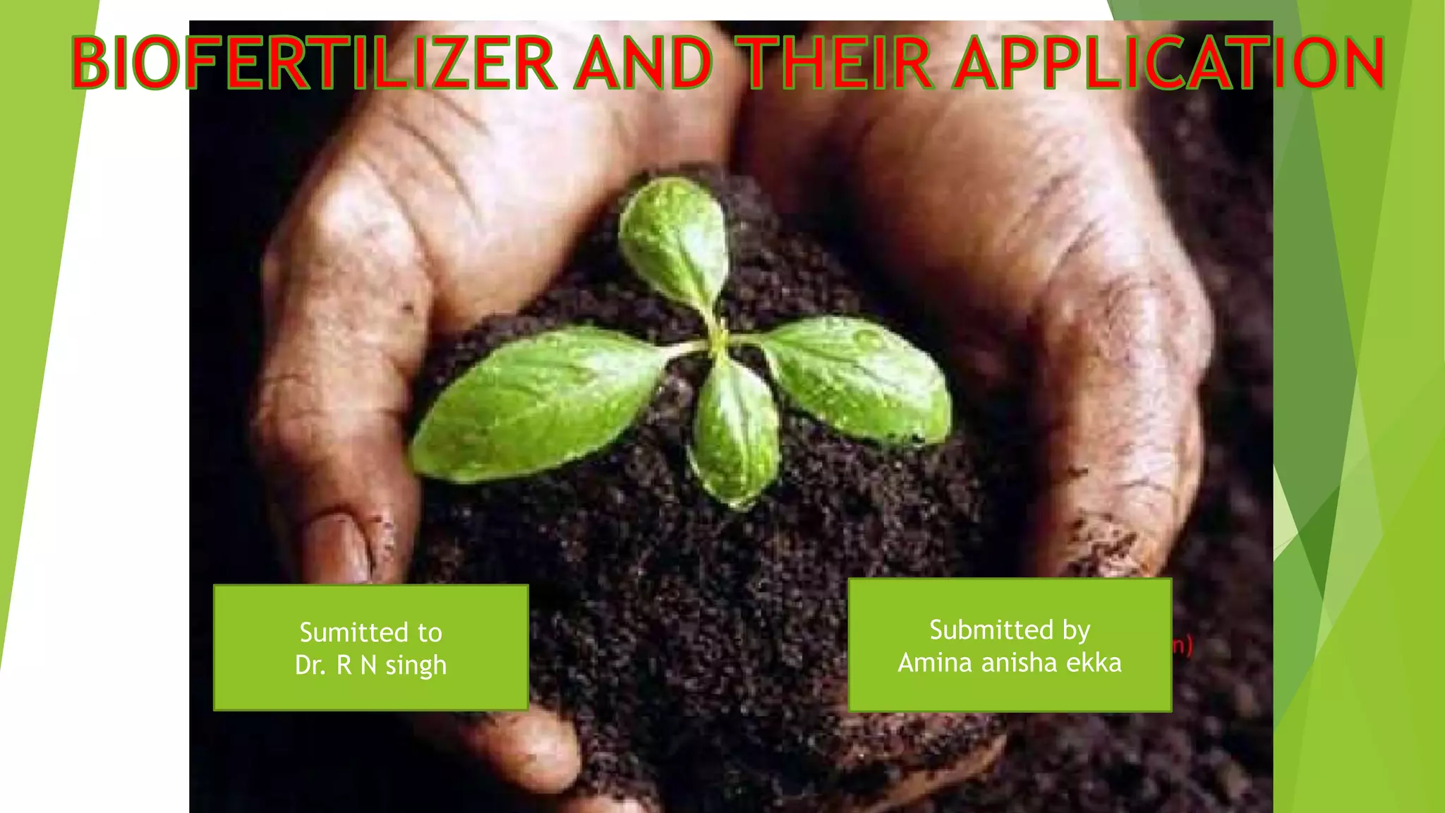 bio fertilizer and their application | PPTX