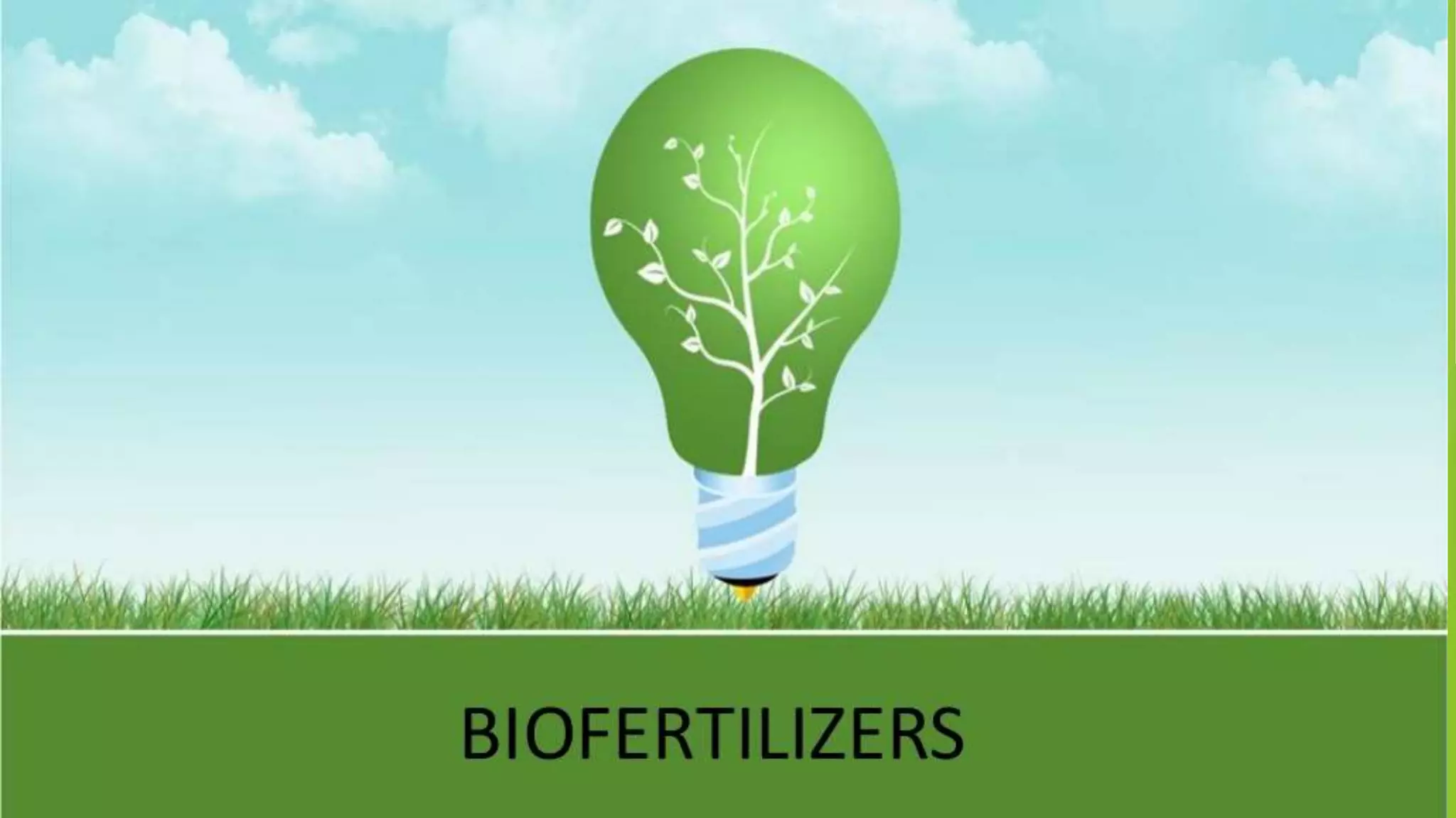 bio fertilizer and their application | PPTX