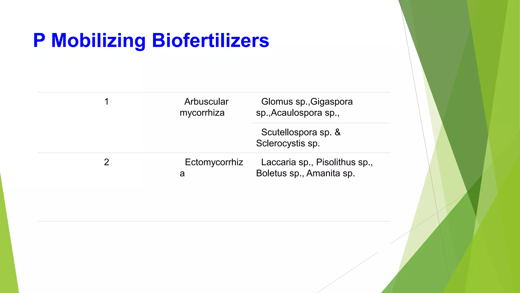 bio fertilizer and their application | PPTX