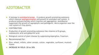 bio fertilizer and their application | PPTX