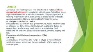 bio fertilizer and their application | PPTX