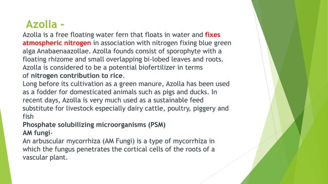 bio fertilizer and their application | PPTX