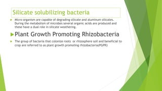 bio fertilizer and their application | PPTX