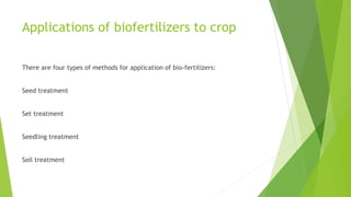 bio fertilizer and their application | PPTX