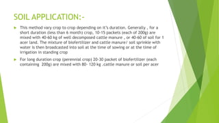 bio fertilizer and their application | PPTX
