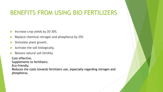 bio fertilizer and their application | PPTX