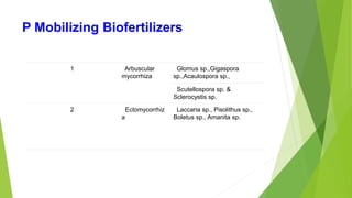 bio fertilizer and their application | PPTX