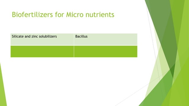 bio fertilizer and their application | PPTX