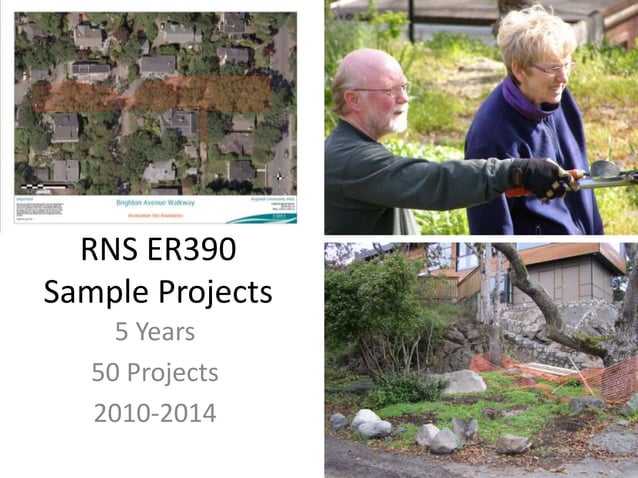 RNS sample student projects | PPTX | Parks | Attractions